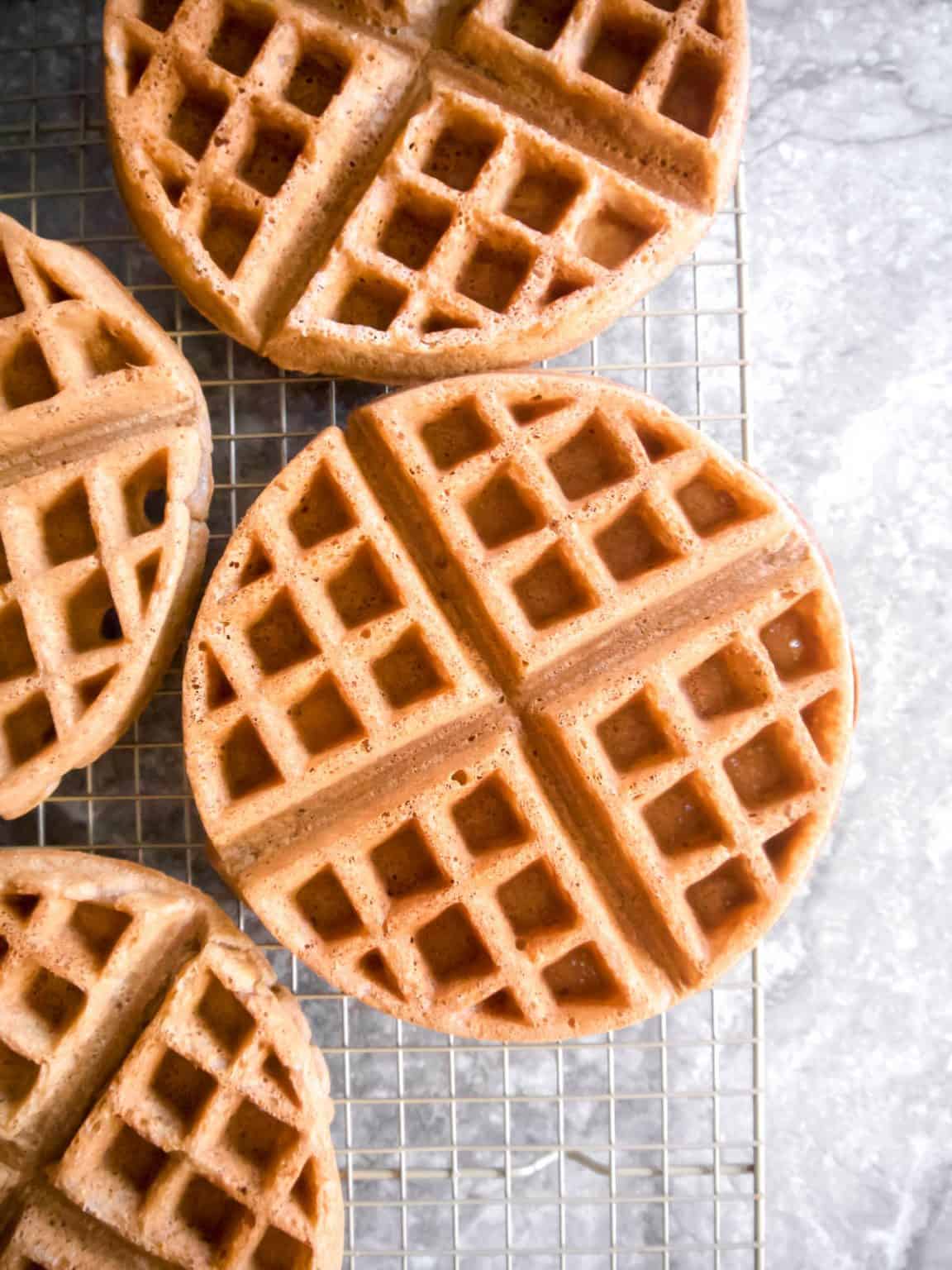 Paleo Waffle Recipe (Gluten-free, Dairy-free) - Perchance to Cook