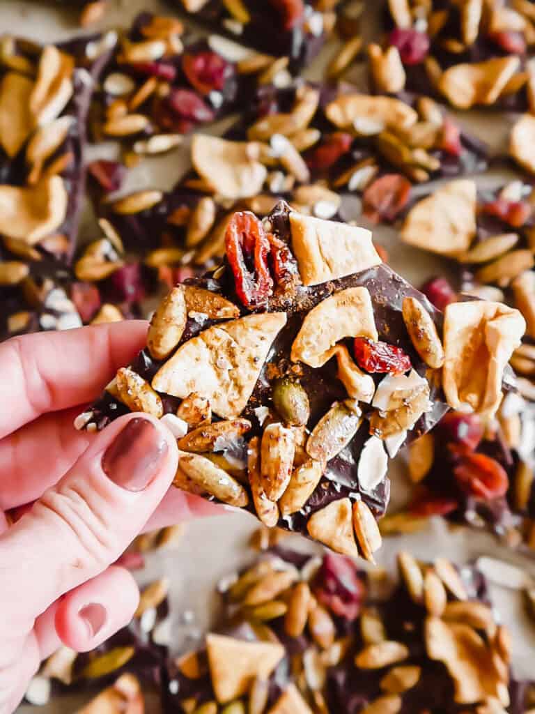 Fall Chocolate Bark with Dried Apples and Roasted Pepitas - Perchance ...